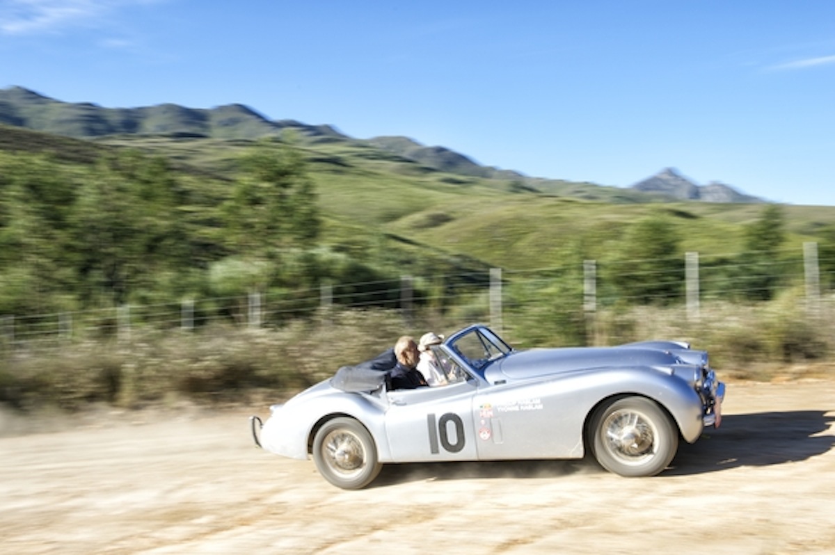 Classic Safari Challenge 2014