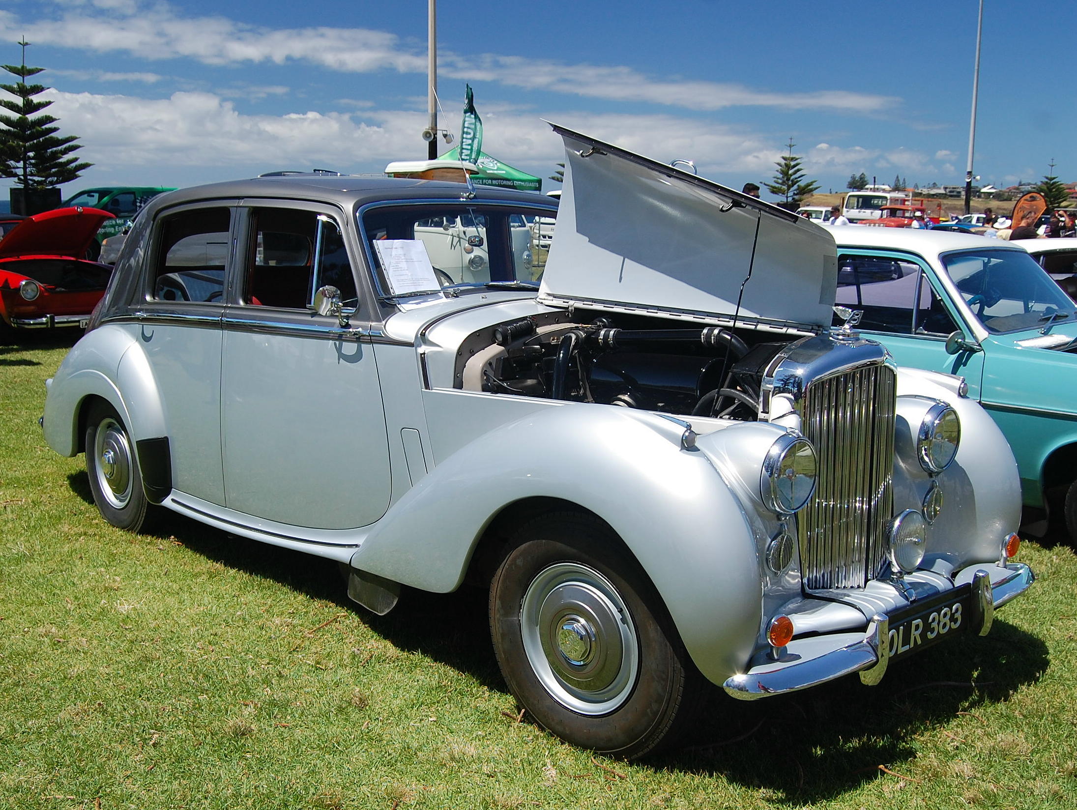Glittering display of rare classics stars south of Sydney | Classic ...