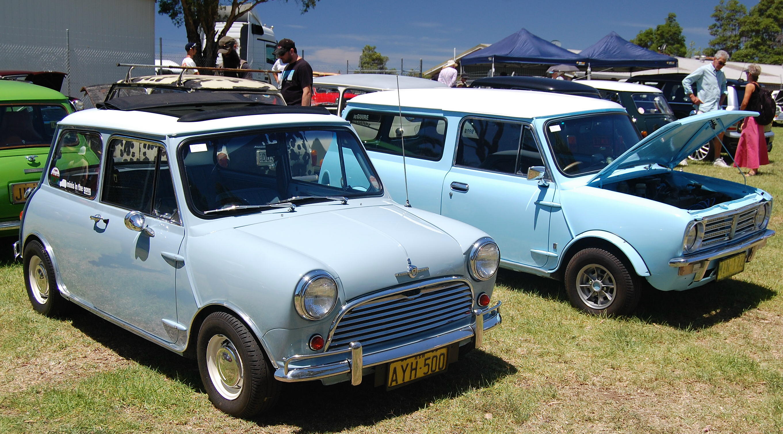 Minis shine in the sun at Australian meet | Classic & Sports Car