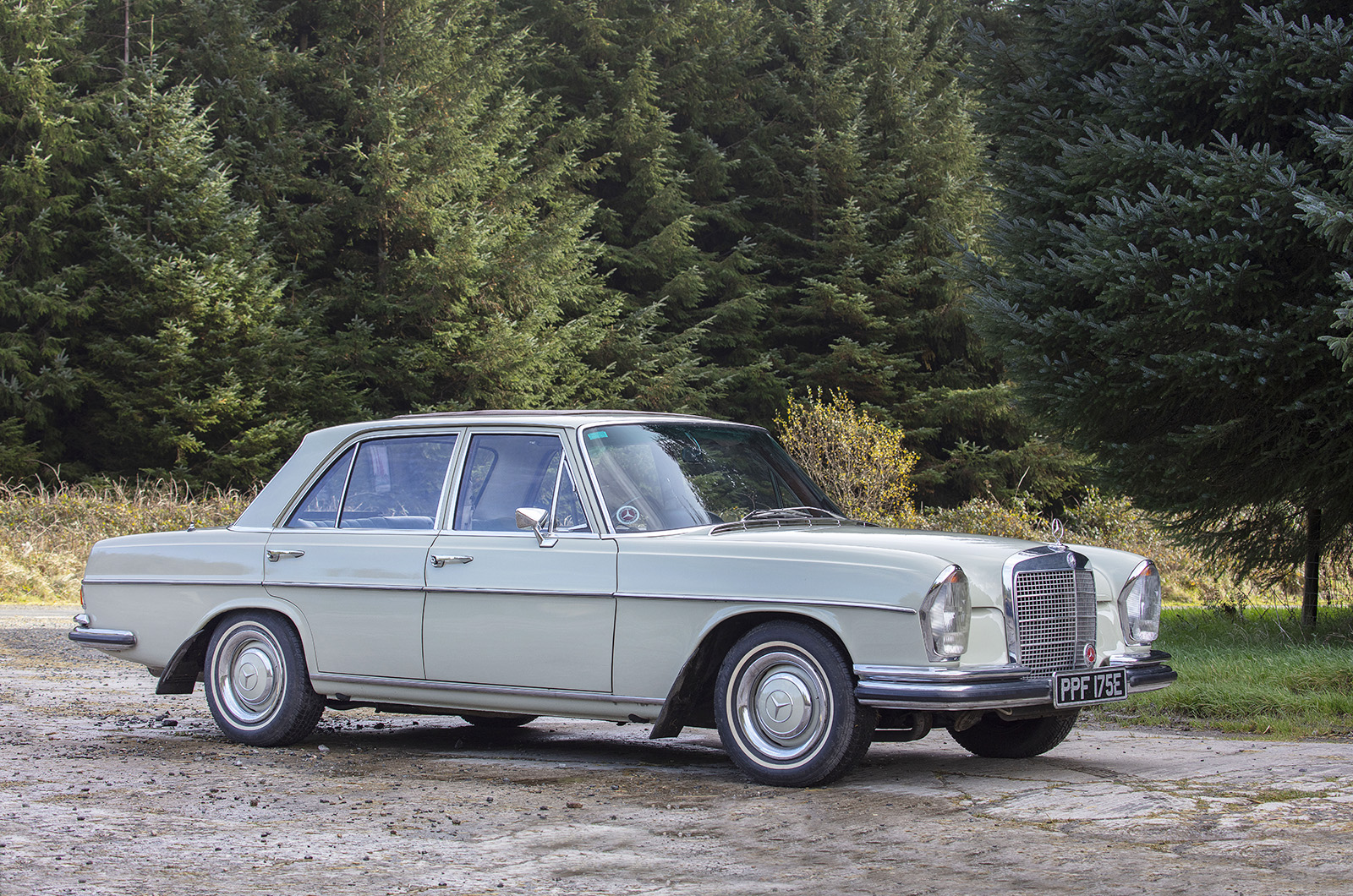 Mercedes-Benz W108/9 buyer’s guide: what to pay and what to look for ...