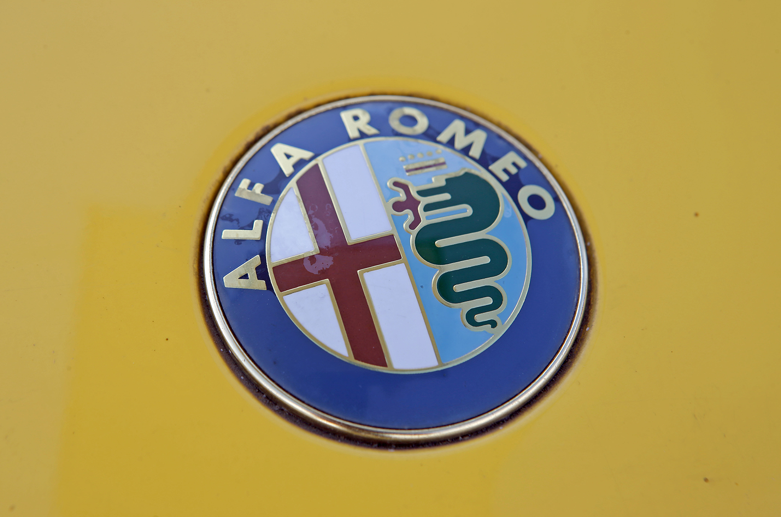 Alfa Romeo RZ: playing all the angles | Classic & Sports Car