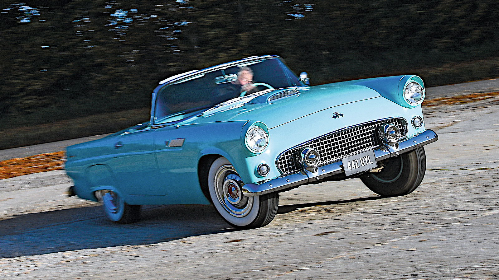 21 cars named after birds | Classic & Sports Car