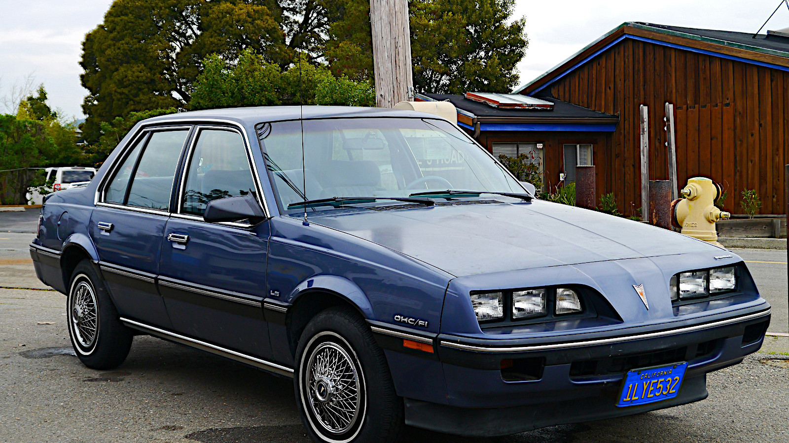 21 cars named after birds | Classic & Sports Car