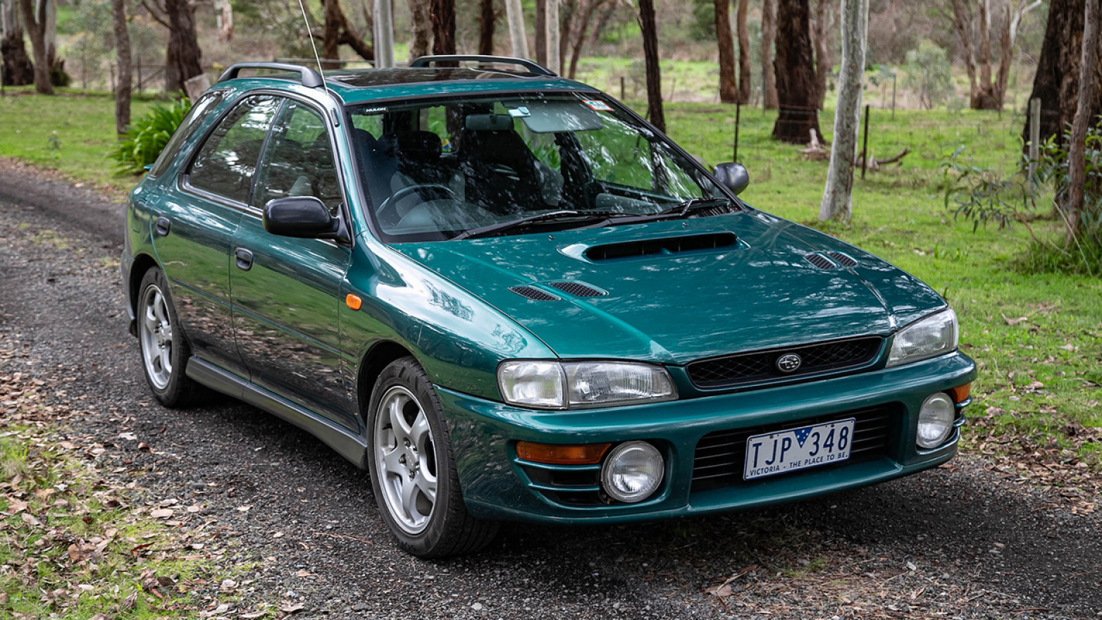 20 classic cars for dog owners | Classic & Sports Car