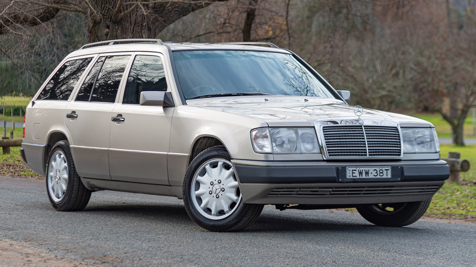 20 classic cars for dog owners | Classic & Sports Car