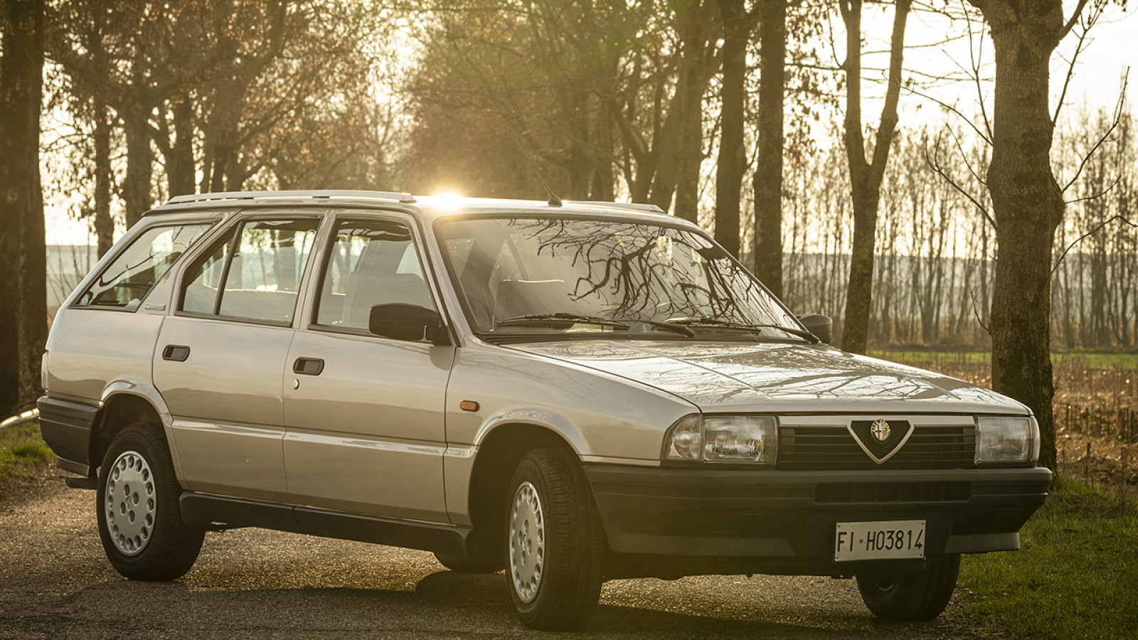 20 classic cars for dog owners | Classic & Sports Car