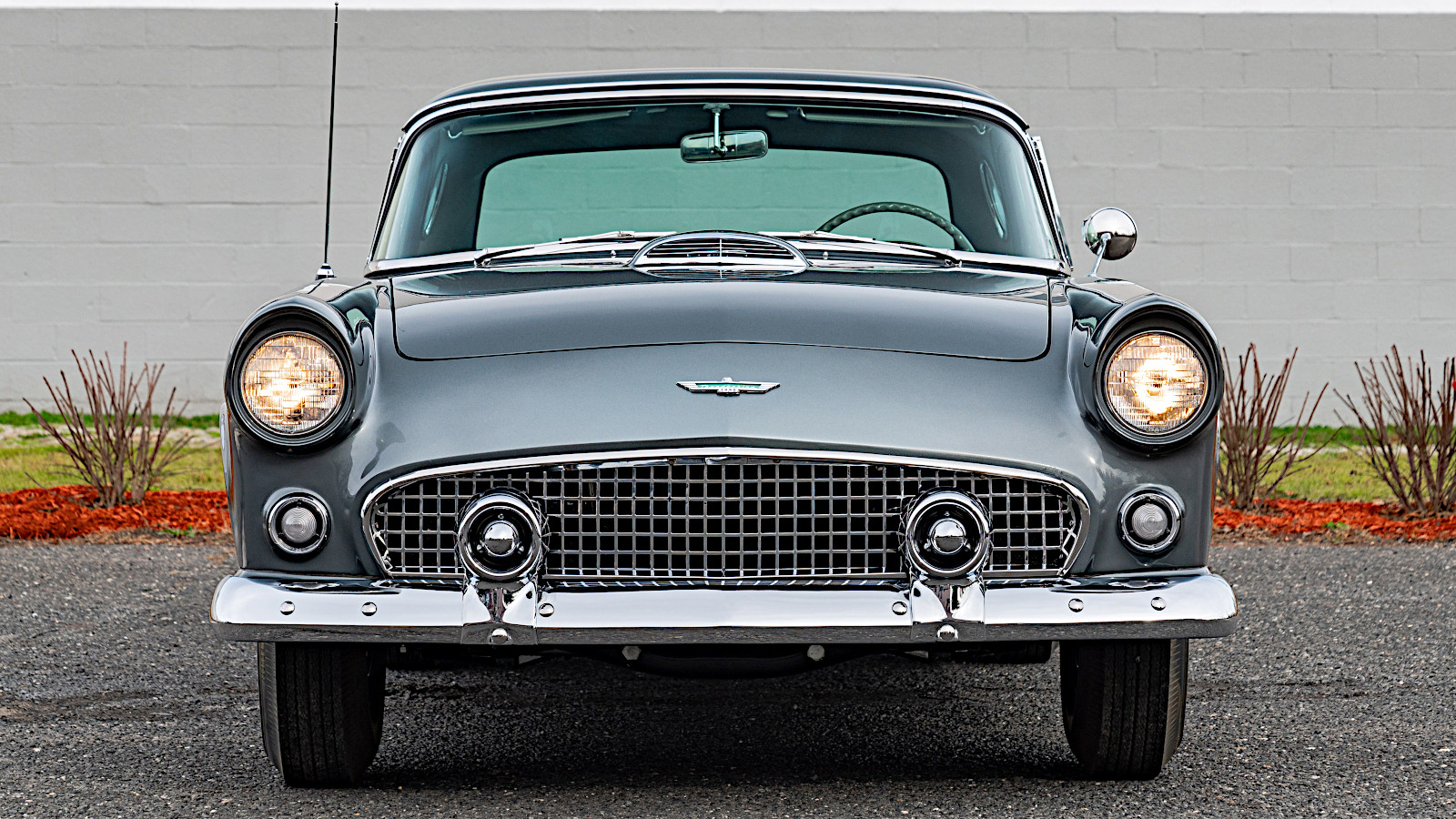 21 classics named after birds | Classic & Sports Car